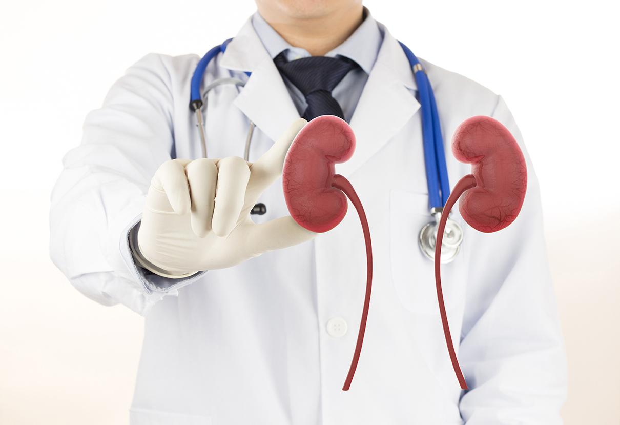 6 Questions to Ask a Kidney Doctor in Fort Lauderdale – BrainArticle
